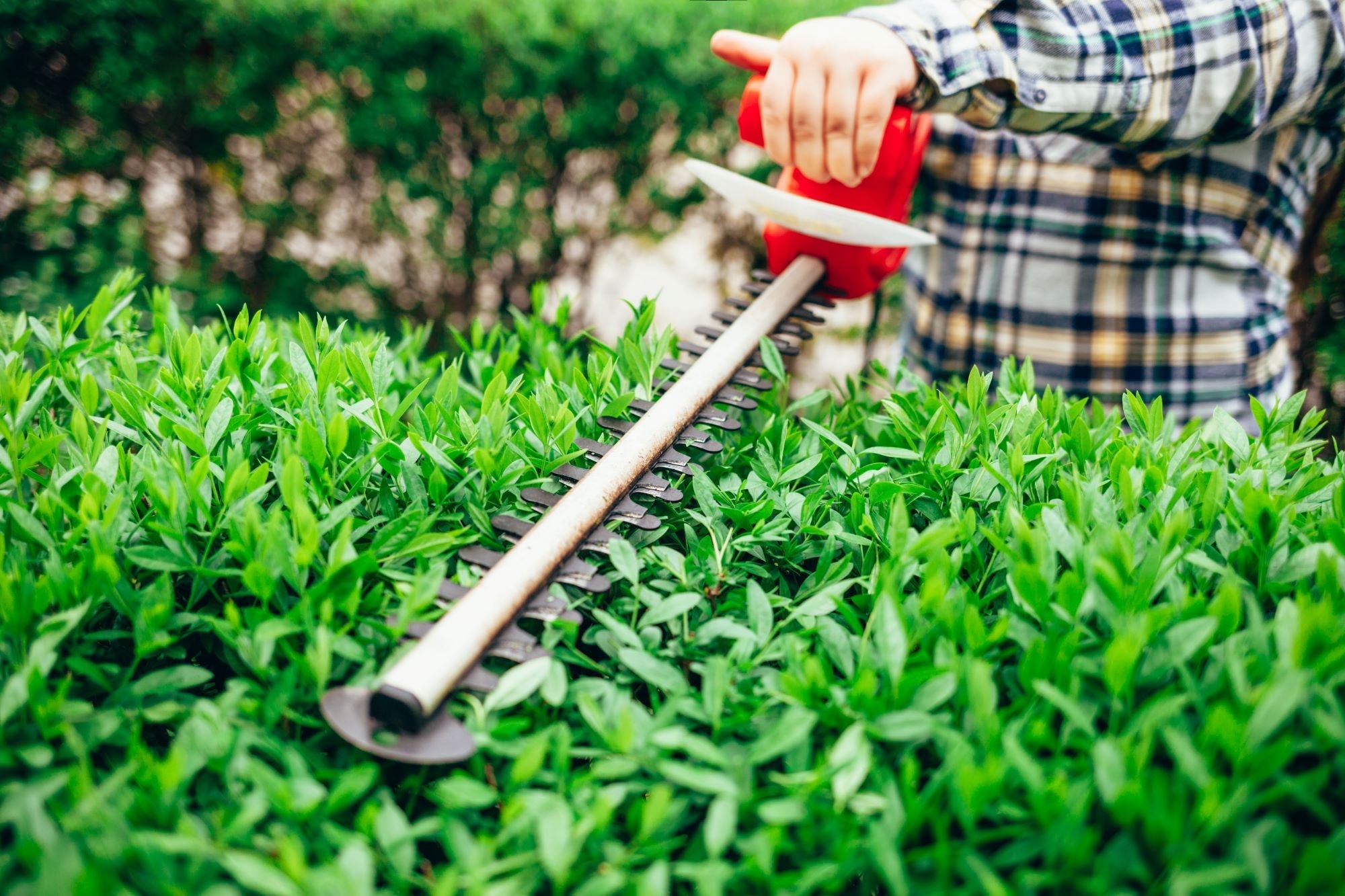 Garden bush trimmer store