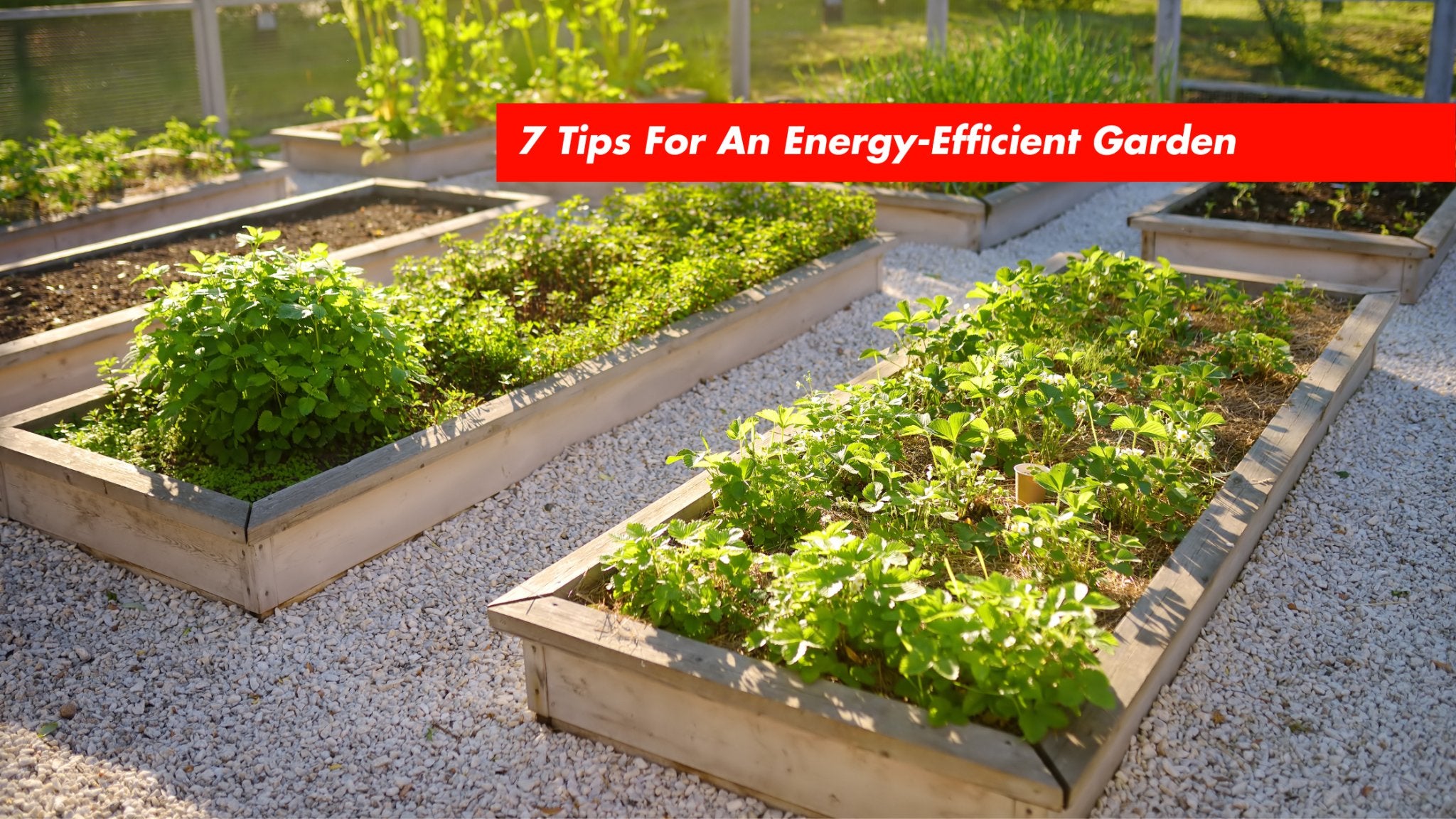 7 Tips For An Energy-Efficient Garden – Solo New Zealand